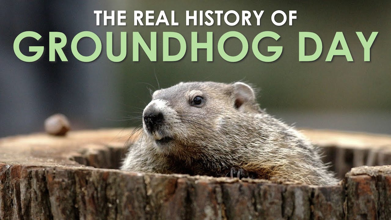 The Real Story of Groundhog Day - everybodylovesitalian.com