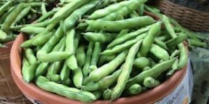 Very clear video on How to Prepare, Peel and Blanch Fava Beans ...