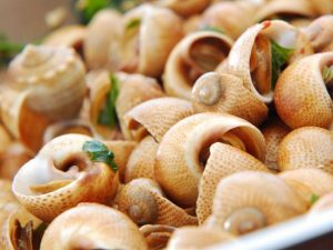 Vavalucci Siciliano - Snails Sicilian Style Recipe - Very Cute Video ...