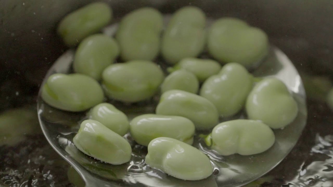 Pasta and Fava Beans – Italian Cook Academia Barilla ...